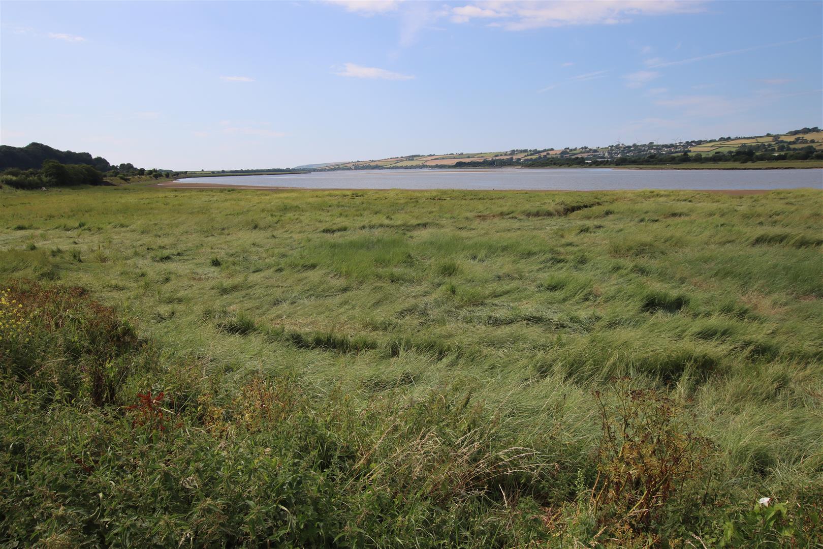 River Taw, Barnstaple - Phillips Smith and Dunn